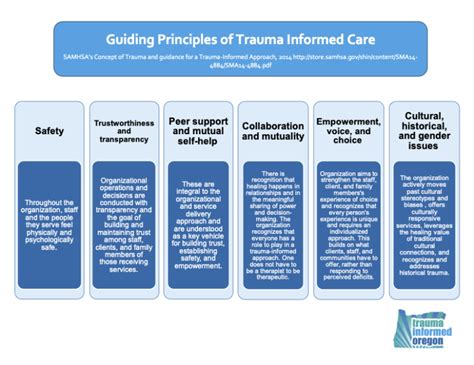 Examples Of Trauma Informed Practices For Support