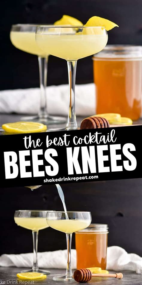 Bees Knees Cocktail Recipe Gin Recipes Cocktails Gin And Honey