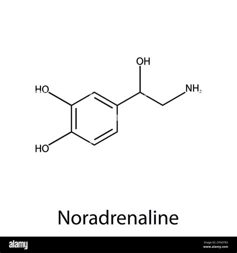 Chemical Structure Of Norepinephrine Organic Chemistry Vector Stock Vector Image And Art Alamy