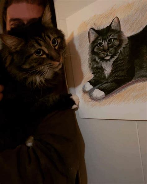 My Roomie Made A Portrait Of Bart Rcats