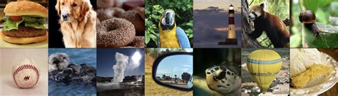 Github Shangyuantongfreeflow Official Pytorch Implementation Of Flow Map Distillation