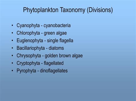 Ppt Phytoplankton Powerpoint Presentation Free Download Id 152179