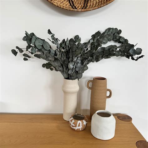 Australian Native Preserved Eucalyptus Cinerea Dark Green Feather