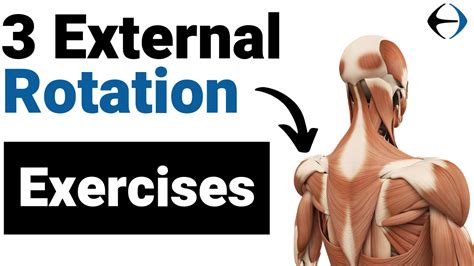 Shoulder Internal And External Rotation