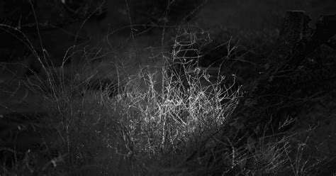 不気味な囁き｜manaco