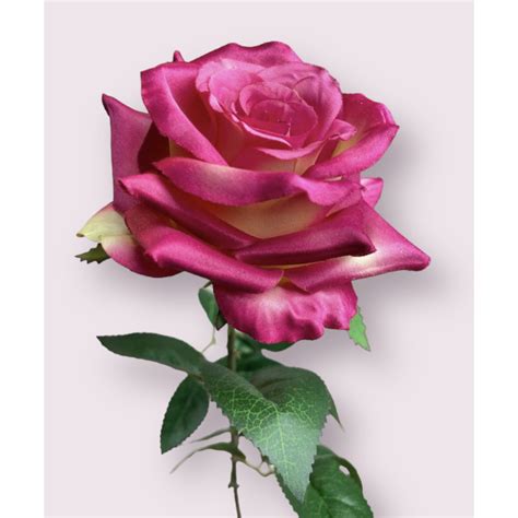 Roos Princess Marie Roze 75 Cm Kunstroos Van Jim Jon Bloemen Jim Jon
