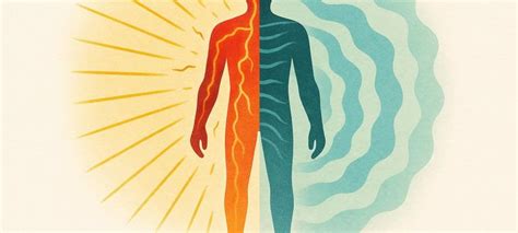 Hyper Vs Hypo Thyroid Symptoms Causes And Treatment Bodyspec