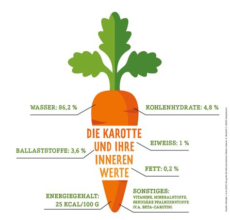 Die Flotte Karotte Waldwärts