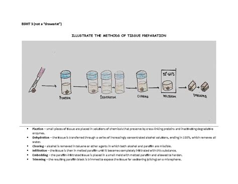Histopathology Methodssteps Of Tissue Preparation Bsmt 3 Not A