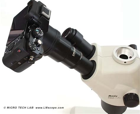 Which Camera Types Are Of Interest For Use In Microscopy