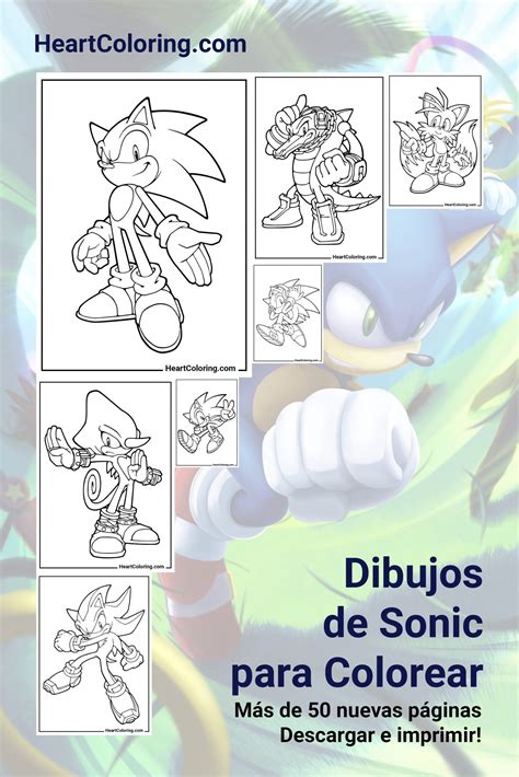 Dibujos De Sonic Para Colorear Y Imprimir En A4 50 Imágenes