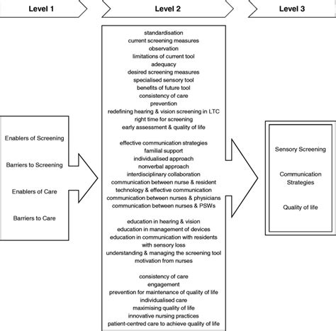 Schematic Chart Of Thematic Development First Level Codes Were