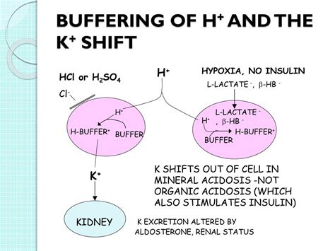 Ppt Potassium An Almond Joy A Day Means An Er Stay Powerpoint