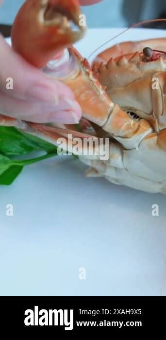 Female Hands Cutting Up A Crab With A Special Device In A Restaurant