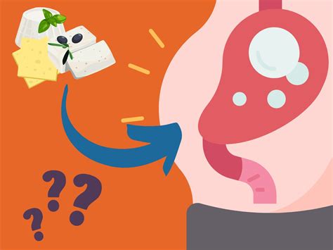 Can Cheese Make You Bloated And Tips To Avoid Bloating