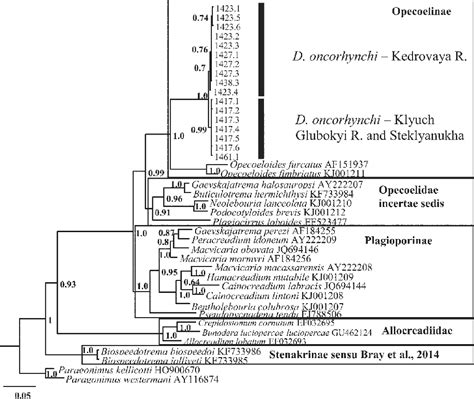Oceanobacillus Oncorhynchi Semantic Scholar