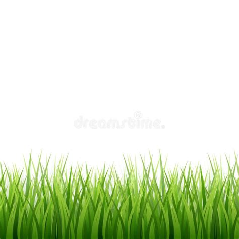 Realistic Green Meadow Grass On White Background Vector Stock Vector Illustration Of Herb