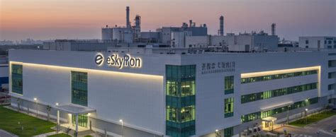 The Technology Of Semiconductor Wafer Level Burn In A Comprehensive