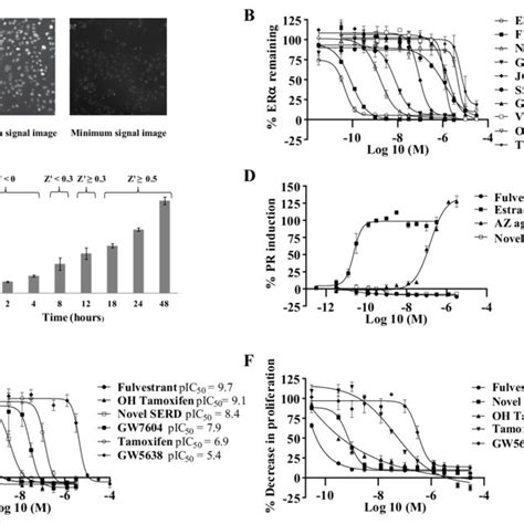 Cellular Cascade Assays A Example Of Arrayscan Images From The