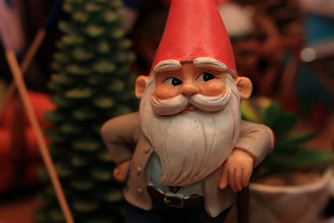 Gnomes Vs Dwarves Unveiling Key Differences