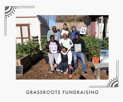 Grassroots Graphic Tree Hd Png Download Kindpng