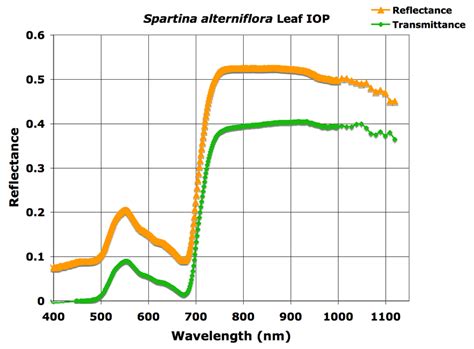 USGS Leaf reflectance and trans-mittance data for Spartina alterniflora... | Download Scientific ...