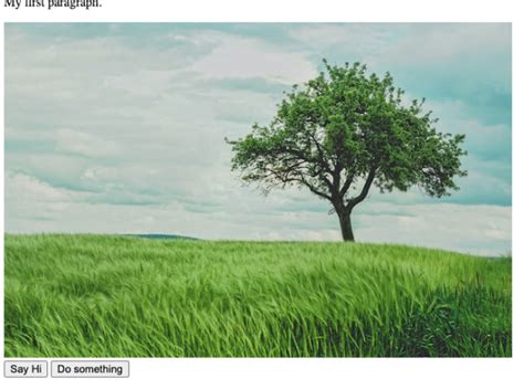 Advanced Dom And Events Styles Attributes And Classes