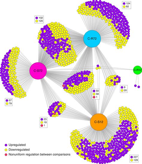 Overlap And Regulation Congruency Of Differentially Expressed Genes