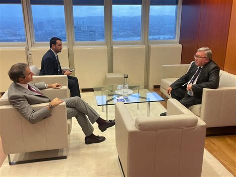 دیدار گروسی و اولیانوف در آستانه سفر مدیرکل آژانس به ایران ایمنا