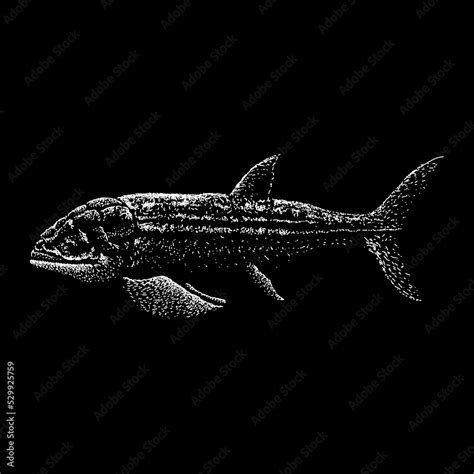 Leedsichthys Hand Drawing Vector Illustration Isolated On Black