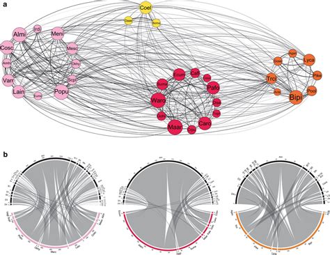 Co Flowering Network And Plantpollinator Subnetworks For The Scrubland Download Scientific