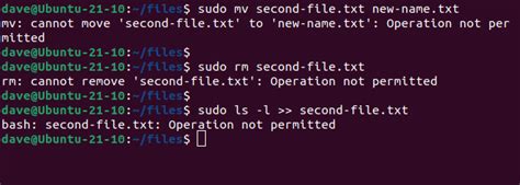 如何在 Linux 上使用 Chattr 命令linux Chattr Csdn博客