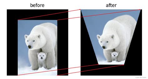 Python编程：利用opencv对图片进行透视变换透视变换 Python Csdn博客