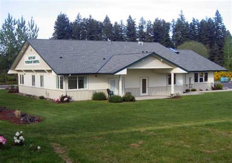 Home South Bay Veterinary Hospital Olympia