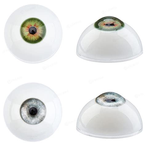 Sex Doll Eyes 100 Extra Eyes For Realistic Love Doll Coeros