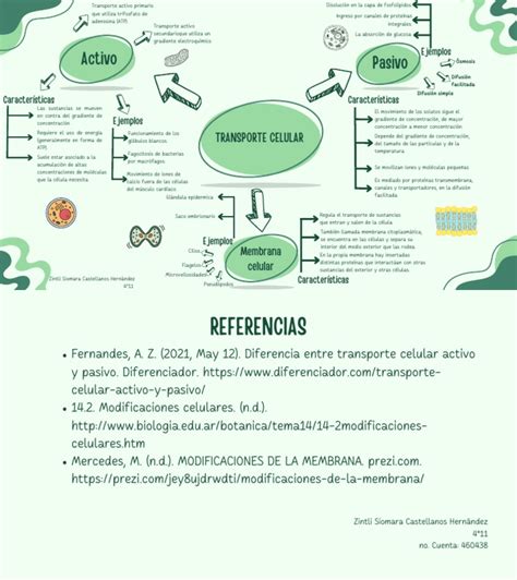 Transporte Celular Activo Y Pasivo Pdf Membrana Celular Biofísica