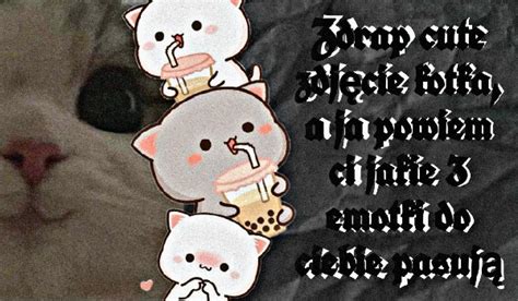 Zdrap Cute Zdjęcie Kotka A Ja Powiem Ci Jakie 3 Emotki Do Ciebie