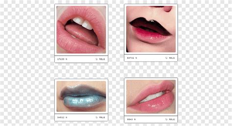 Shading Lipstick Lipstutorial Org