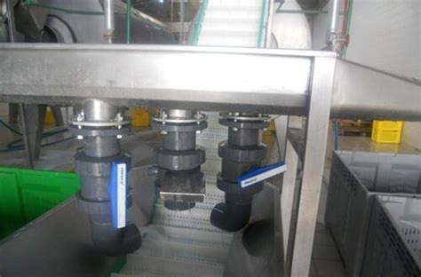 Frozen Peas Processing Plant And Its Process — Kiron Food Processing