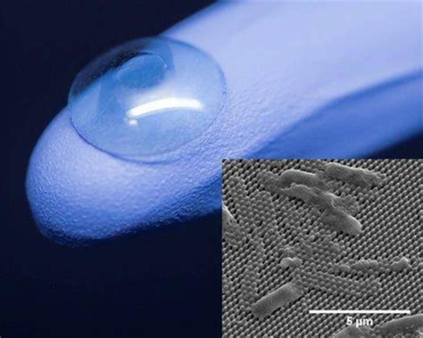 Artificial Cornea Implant Using Nanopatterned Synthetic Polymer
