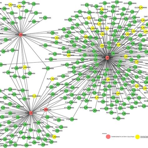 Interactomic Analysis And Construction Of Protein Network
