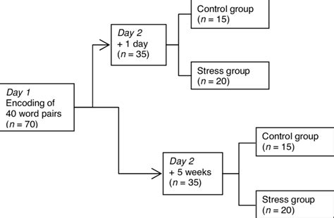 1 Randomization Scheme Of The Groups Download Scientific Diagram