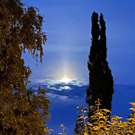 Tony M Raitis Youtube