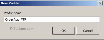 Asp Net MVC Publish Using FTP File Transfer Protocol Tutlane