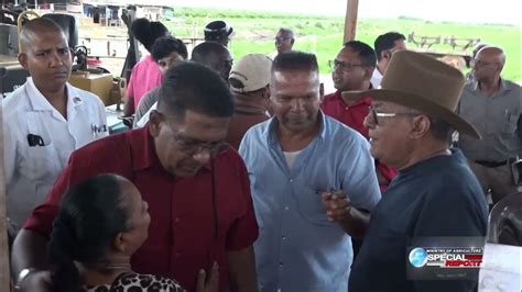 Moa Special Report Youtube