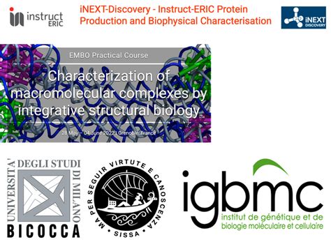 Understanding The Role Of Vault Ribonucleoprotein Particles In The Context Of Viral Infection • Ung