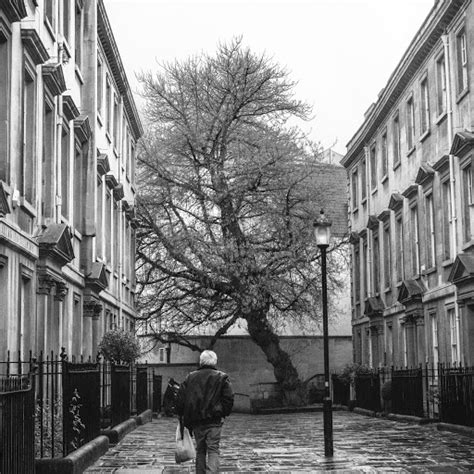 Wholeness And The Implicate Order Youtube Music