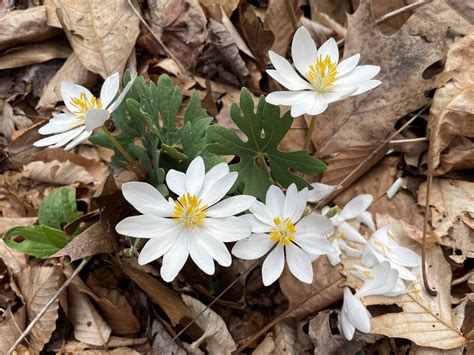 Day Trip To Córdoba Mark Eichenberger Photography Facebook