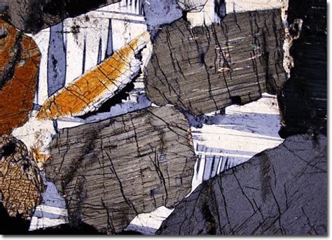 Molecular Expressions Microscopy Primer Specialized Microscopy