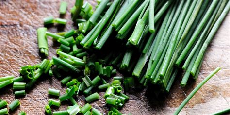 Chives Recipes Chive Mayonnaise Vinaigrette Great British Chefs
